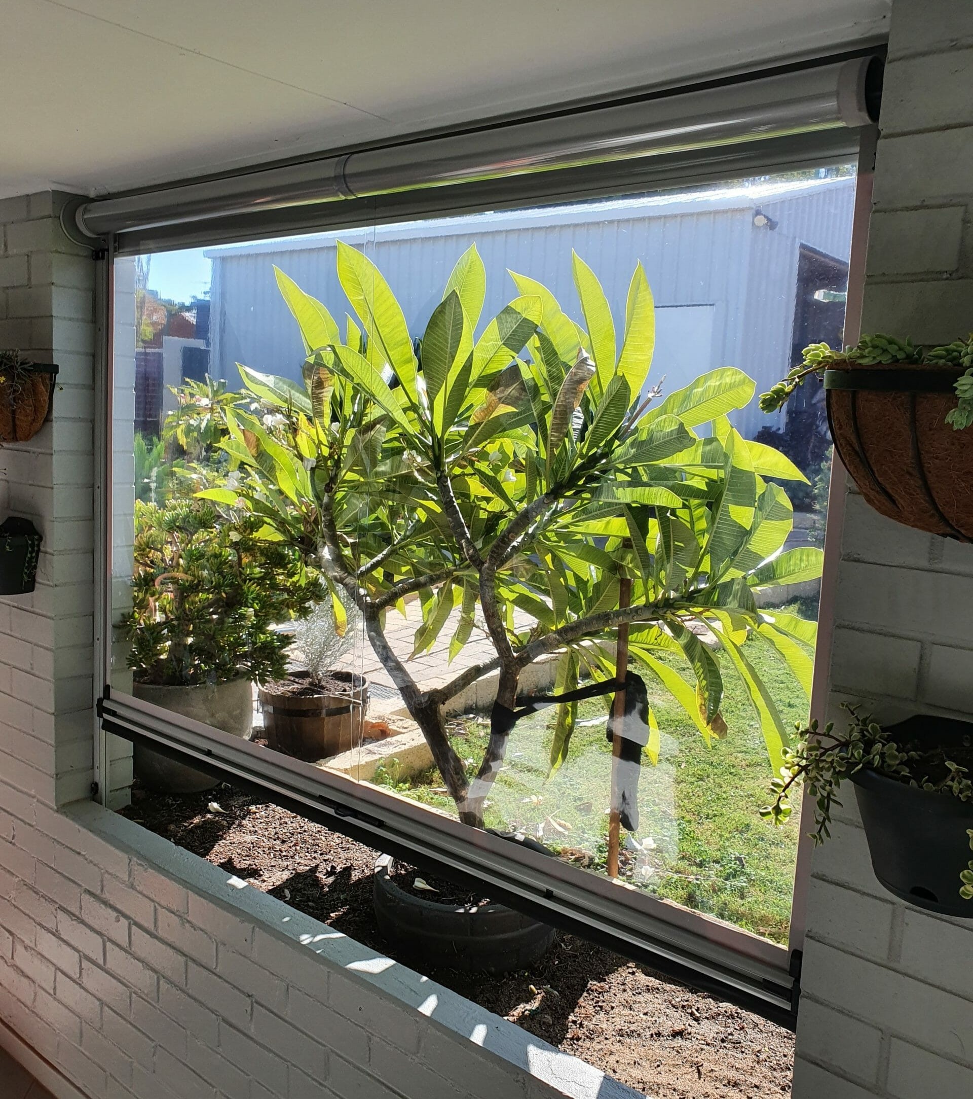 How to Clean Your Clear PVC Cafe Blinds | All About Shade